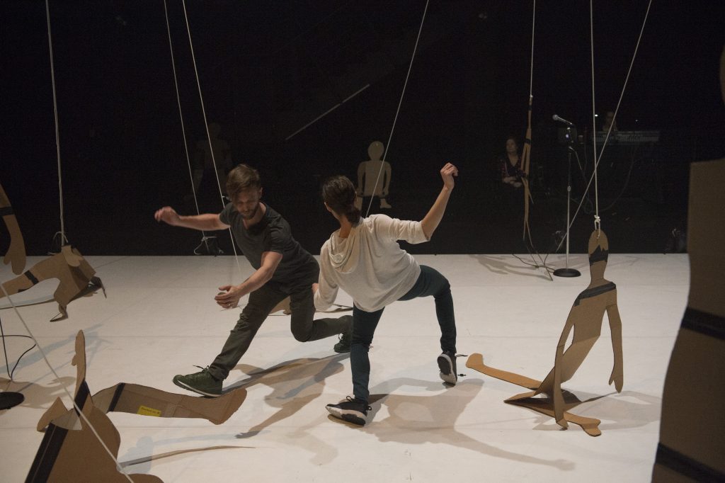 Board of Directors - plastic orchid factory